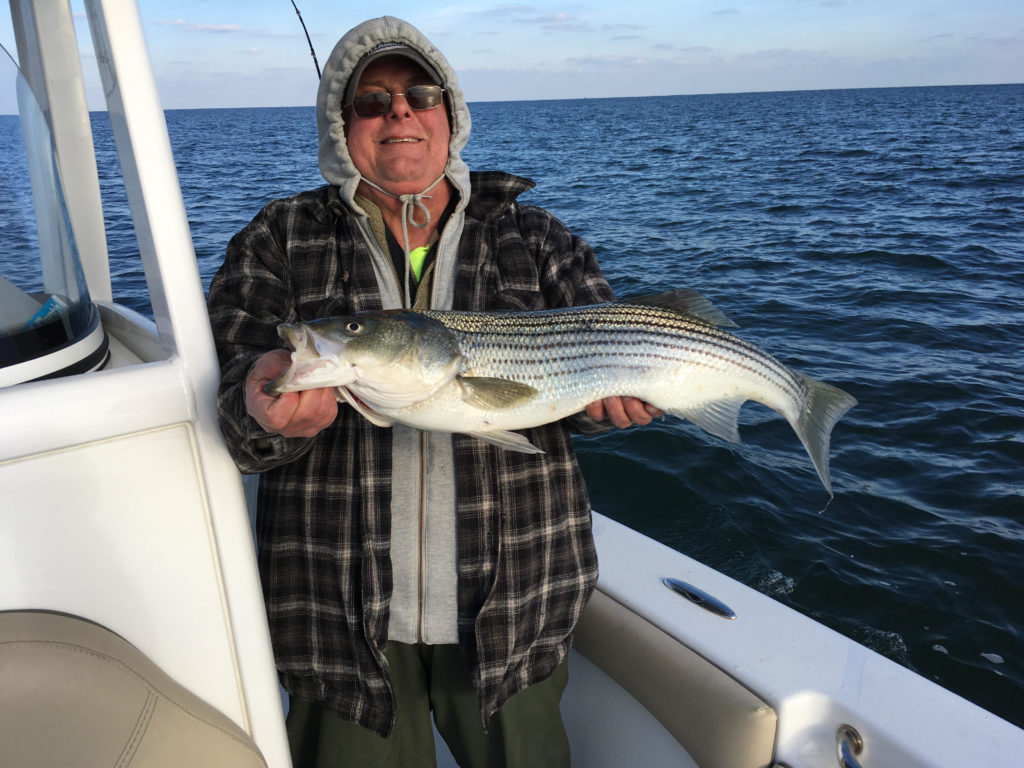 Last Striper Trip by Ed Valitutto - Village Harbour Fishing Club