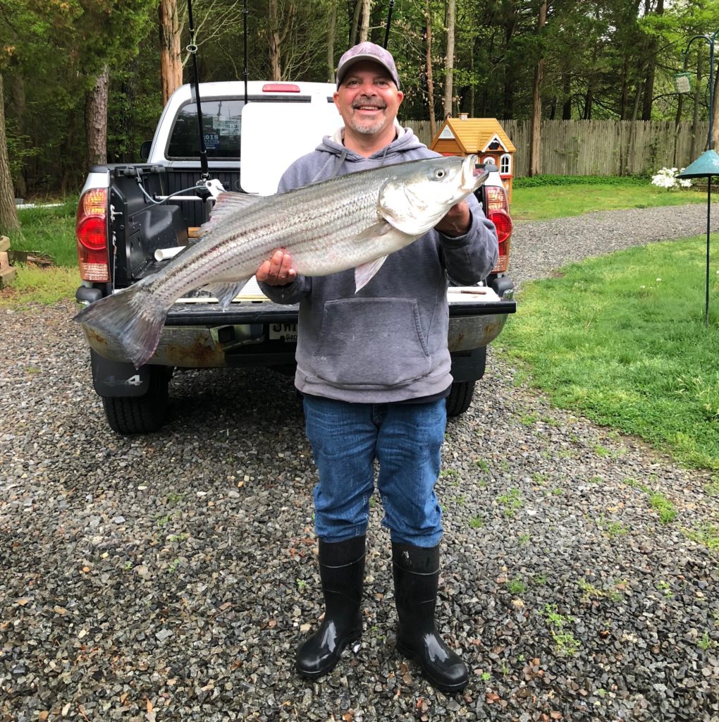 First Striper for 2018 by Pat Presutto - Village Harbour Fishing Club