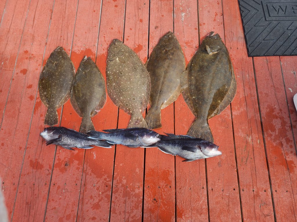 Blue Bird Day by Marty Friedrich - Village Harbour Fishing Club