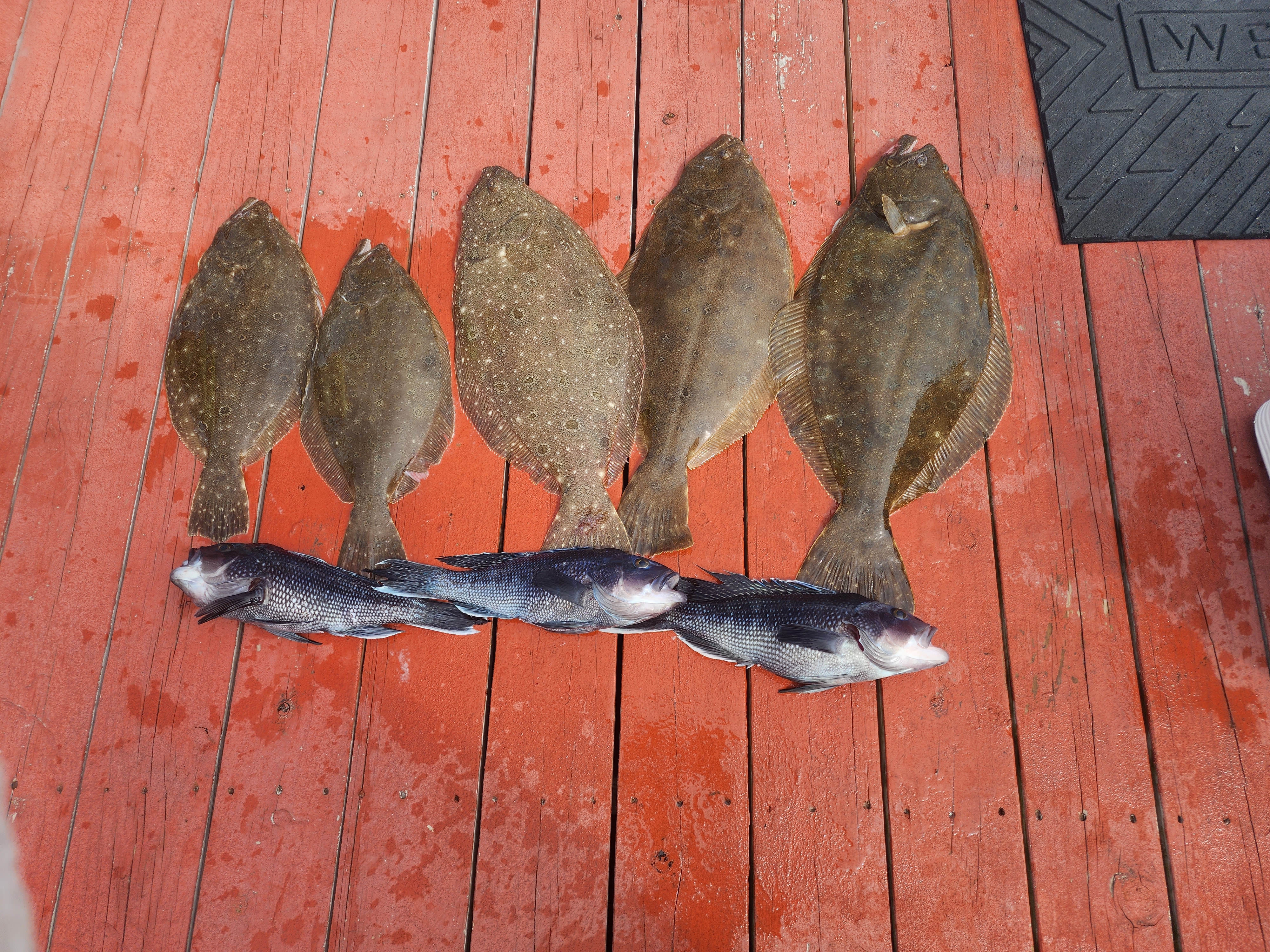 Blue Bird Day by Marty Friedrich - Village Harbour Fishing Club